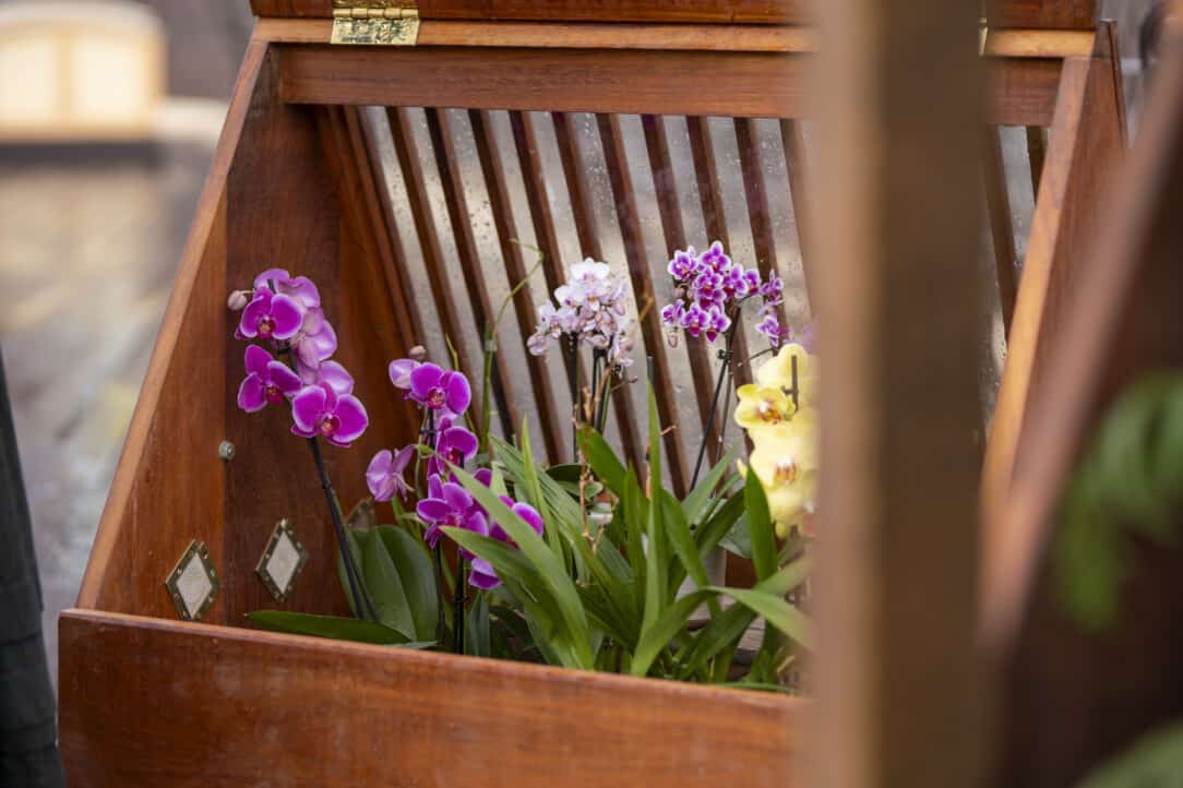 Wardian Cases - SS Great Britain