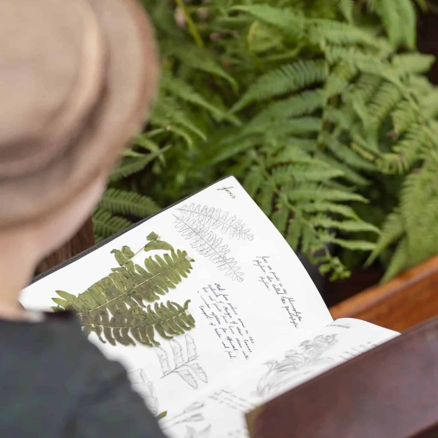Victorian Fern Fever - SS Great Britain