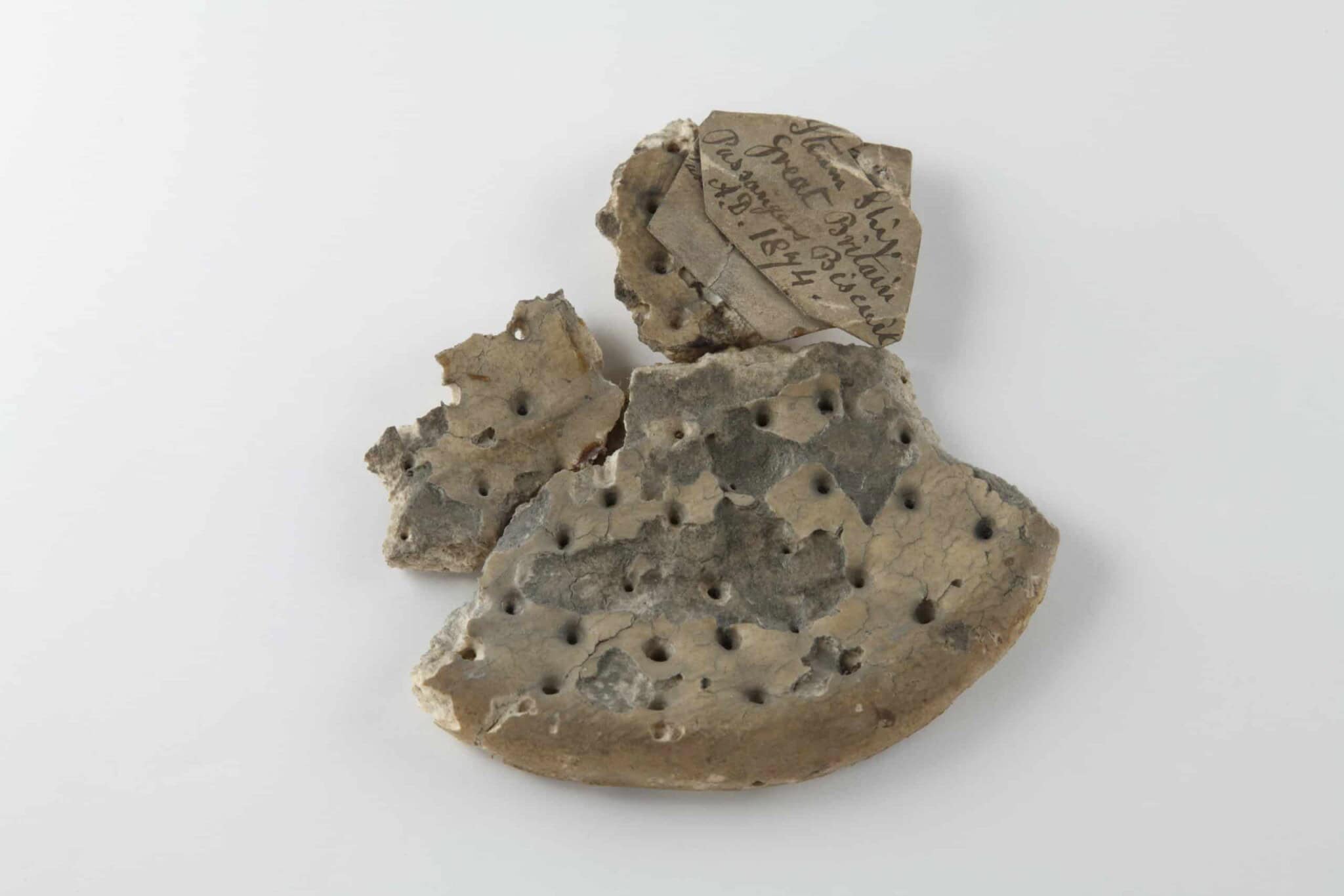 Adopt an Artefact - SS Great Britain